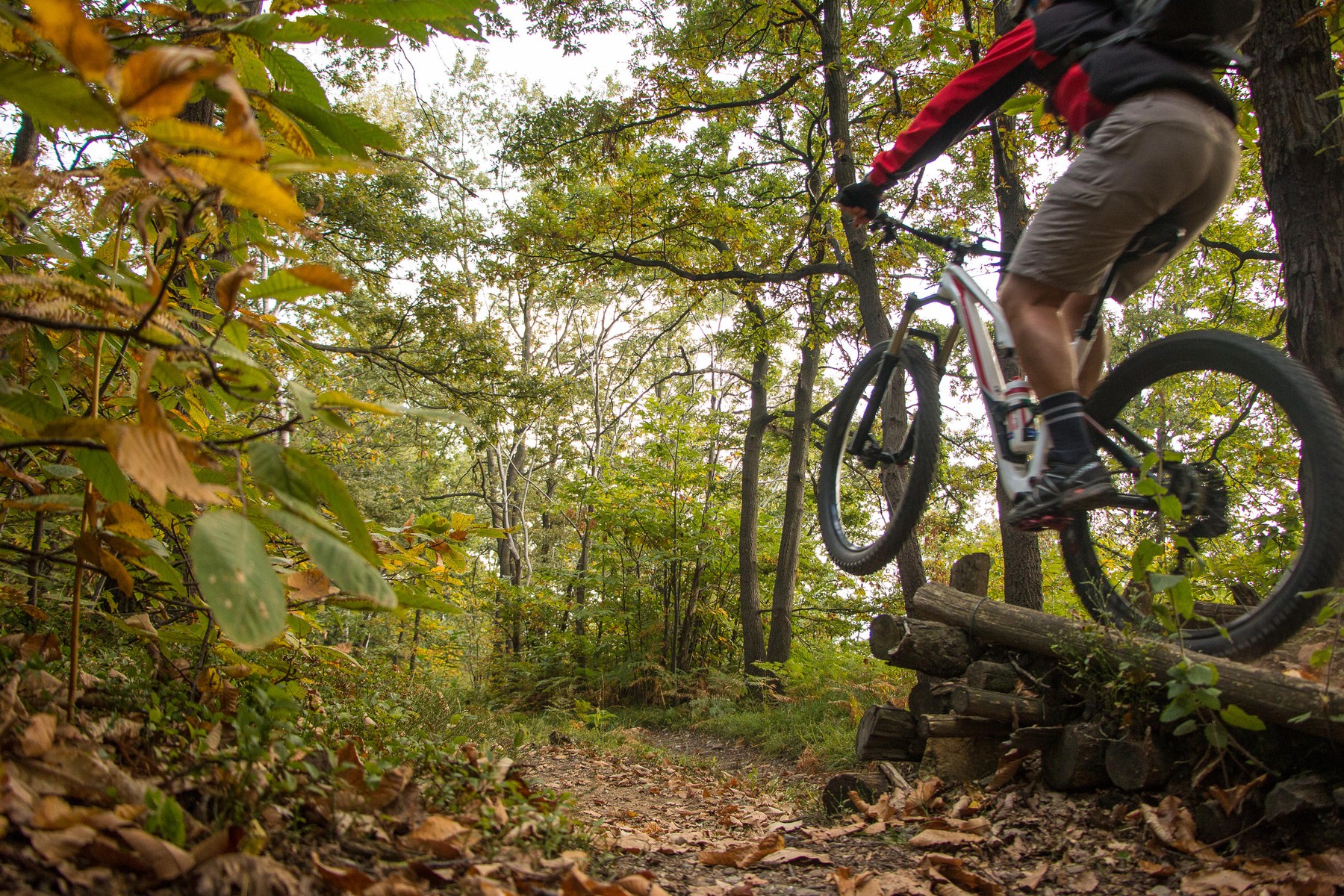 Biking and Connecting with Nature? Choose a Way That Is Right for You ...